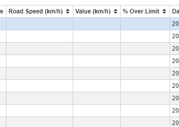Driving Summary Report