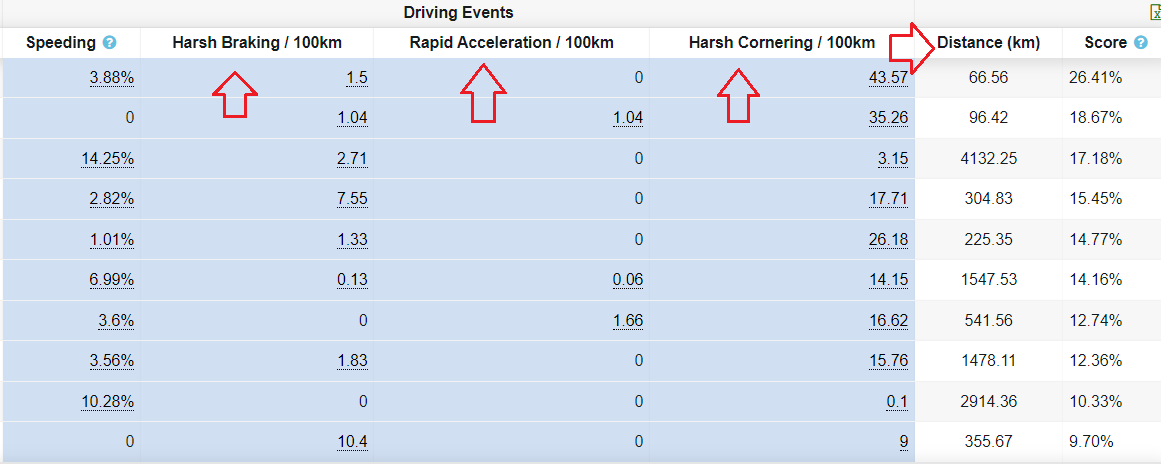 Driving Summary Report